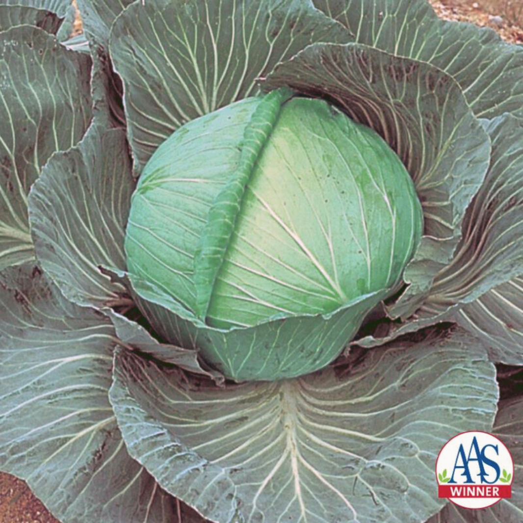 Shop All – Brawley Seed Co.